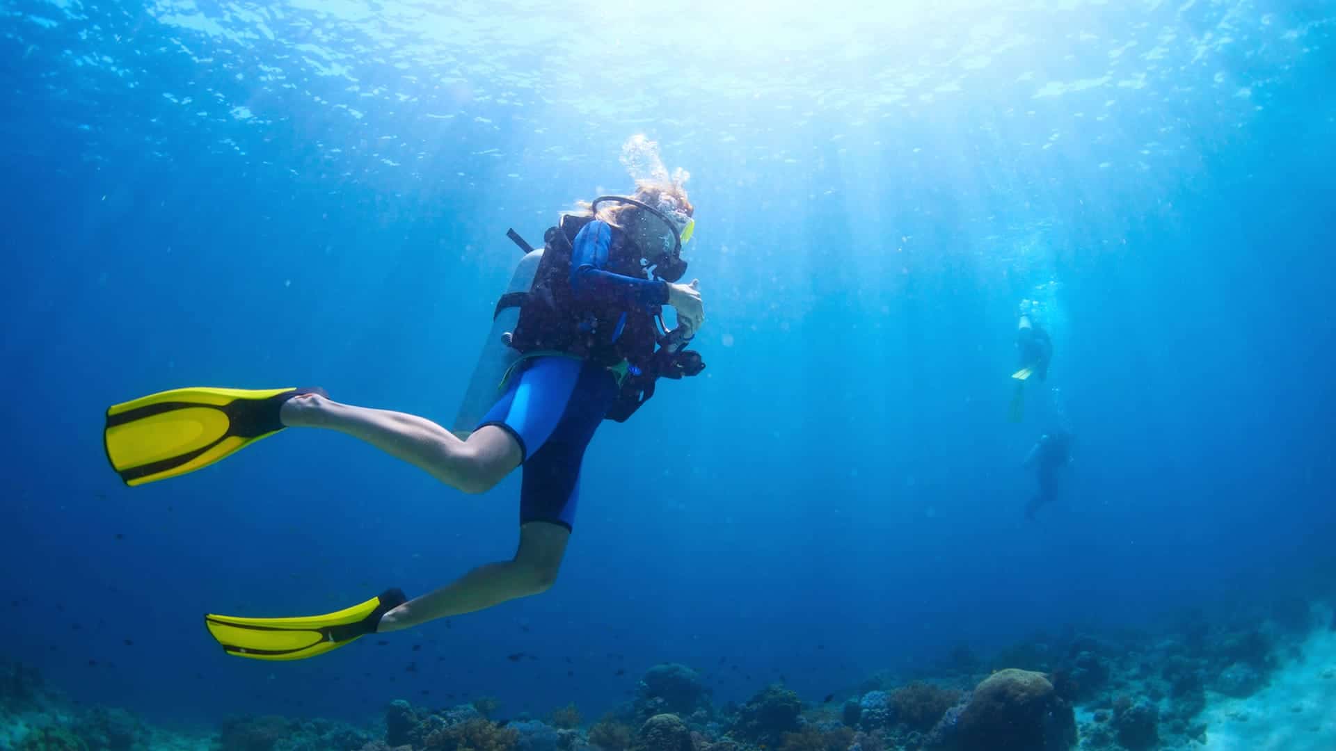 Byron Bay Dive Centre | Snorkel Julian Rocks Marine Reserve